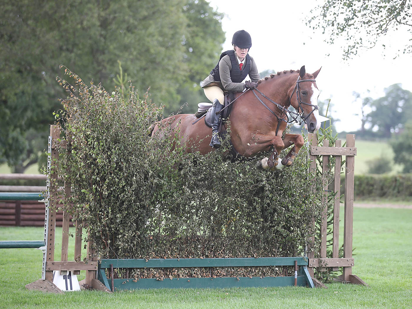 Ruby Ward and Noble Banksy win supreme working hunter pony at RIHS