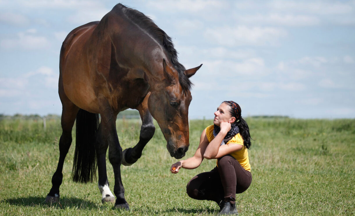Beginner liberty training introduction with Emma Massingale