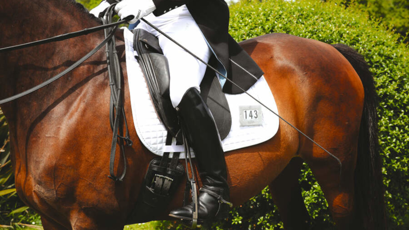 New double bridle rule proposed for international dressage alongside ...