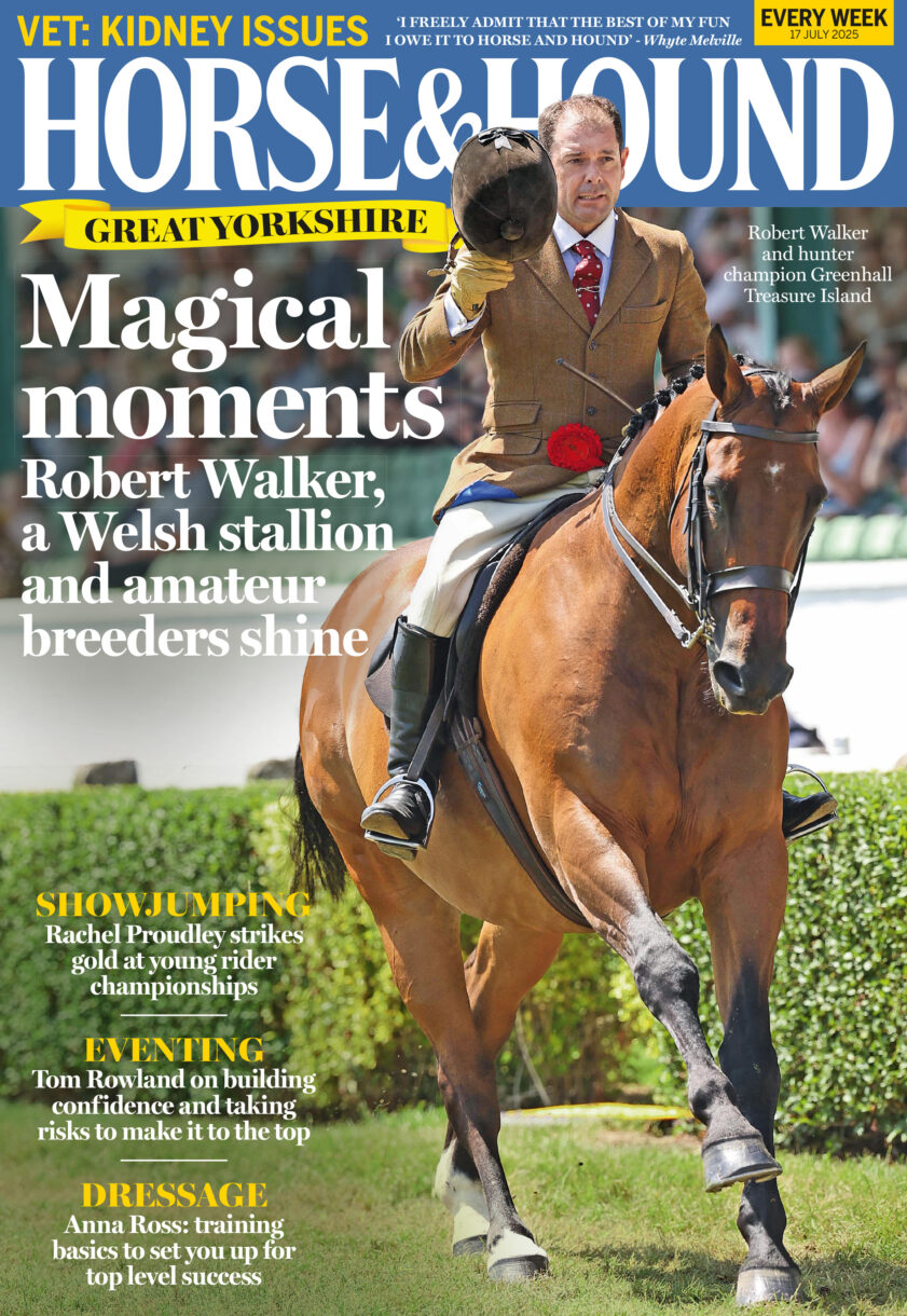 What’s in Horse & Hound magazine, in shops from 17 July 2025 - Horse ...