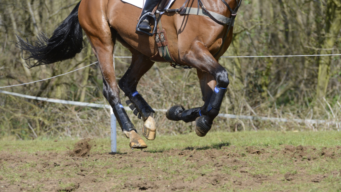 Eventing whip use rules under review and other notable horse world stories