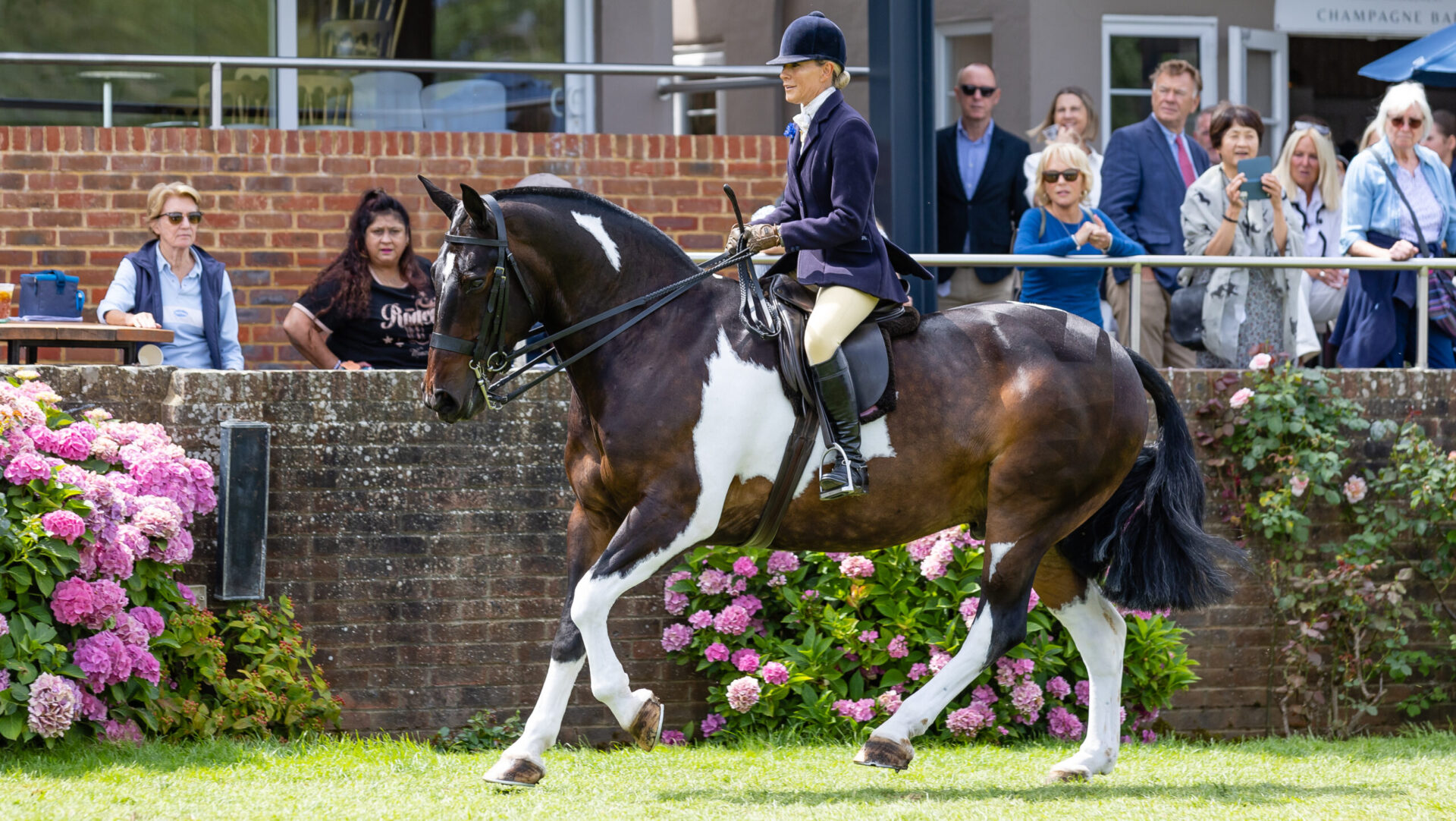 Mr Vincent crowned in the 2025 Royal International cob championship