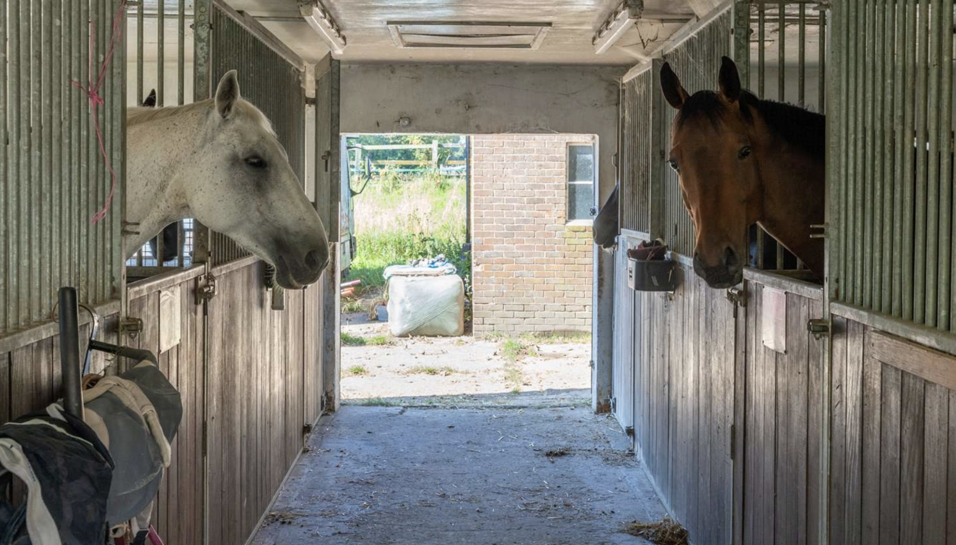 Hunton Manor is a £14million equestrian estate with stunning views
