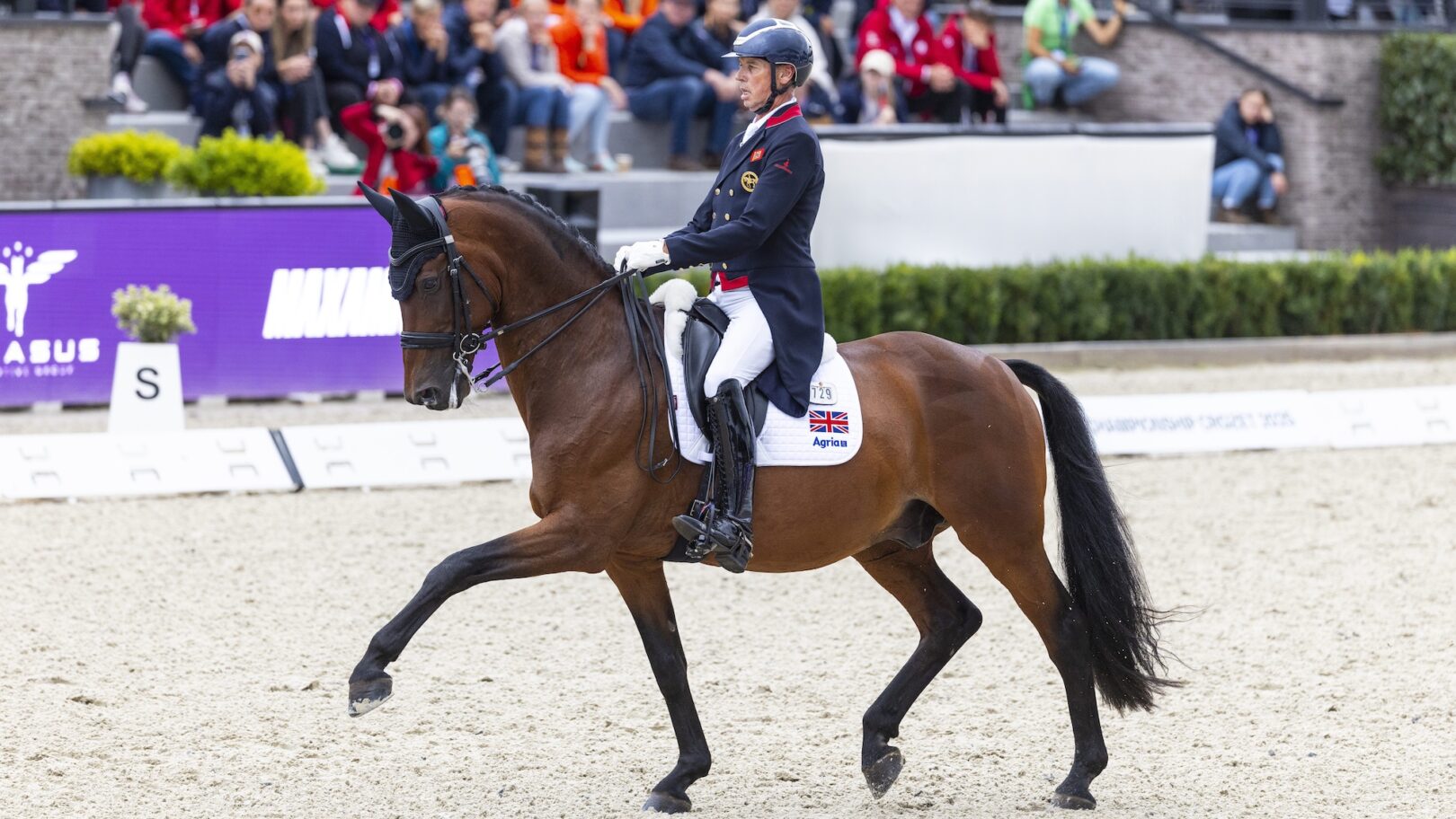 Carl Hester on Fame, Europeans silver and future plans