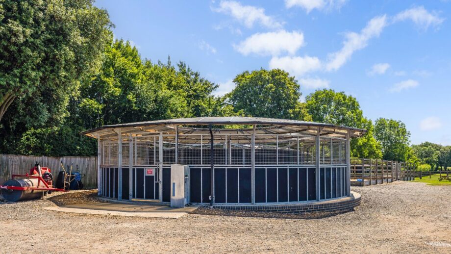 Dream home with stables, manège, canter track & more | Horse & Hound