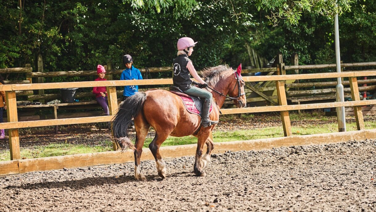 84 more precious riding schools lost but some positive signs in tough ...