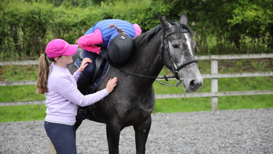 A new horse timeline with all the “firsts” outlined - Horse & Hound