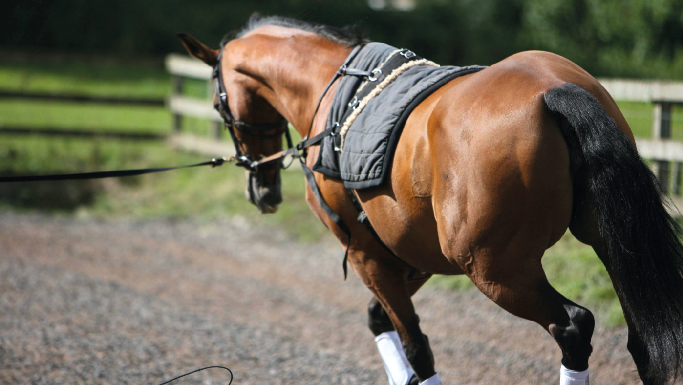 Lack of skill and influence of others key reasons riders use side- and ...