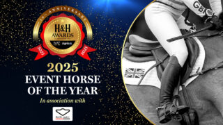 Lordships Graffalo is crowned Hit Air Event Horse of the Year 2025