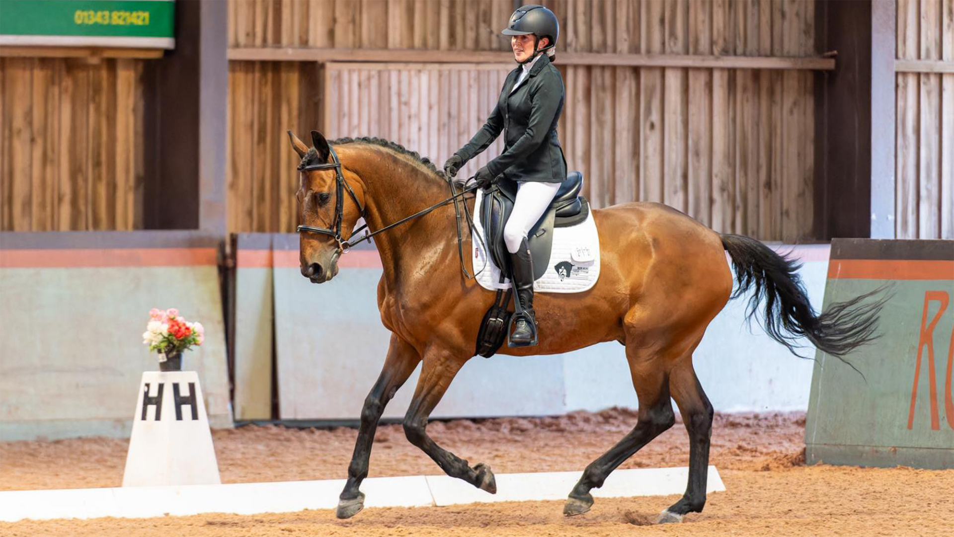 Q&A: How to deal with bot eggs on horses - Horse & Hound