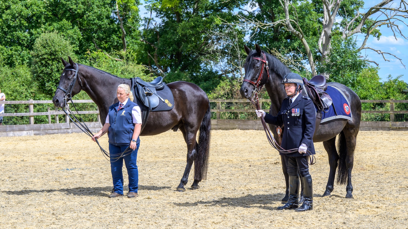 A touching moment as horses given to The late Queen retire together ...