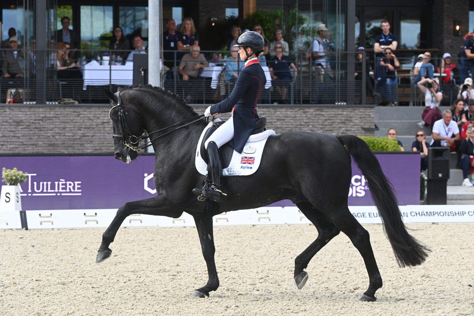 Lottie Fry on Glamourdale’s special at European Dressage Championships
