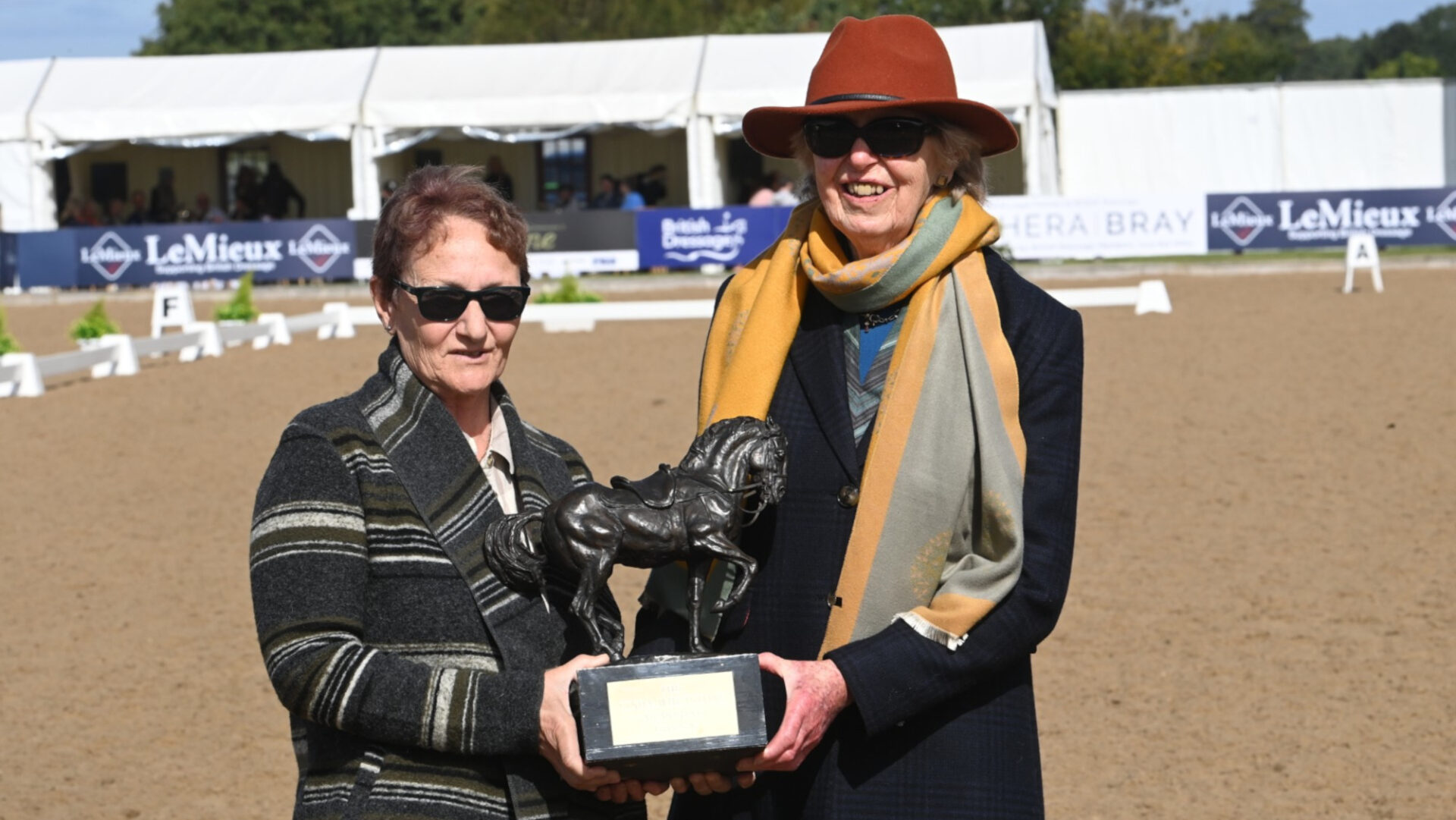 Quest dressage: how it works and how to get involved