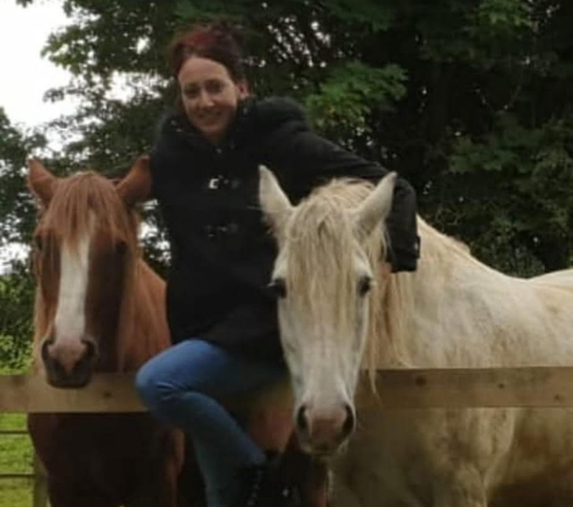 Owners of horse killed on hack campaign in her memory – as riders not ...