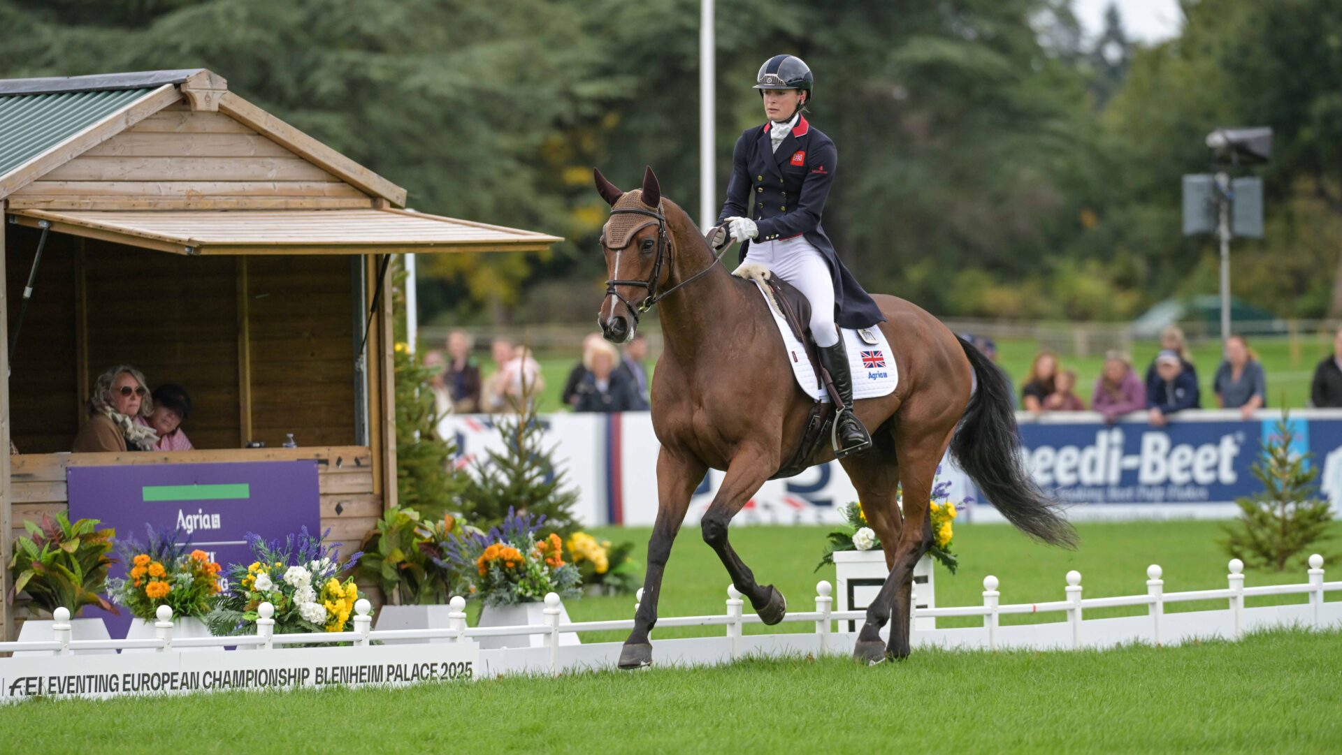 Caroline Harris performs Blenheim European Championships dressage