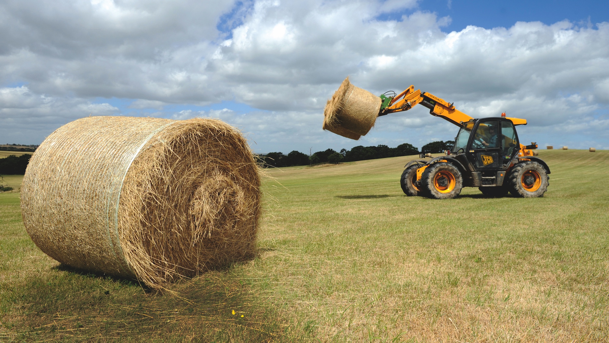 Prepare now for winter: expert advice as hay yield falls and prices ...