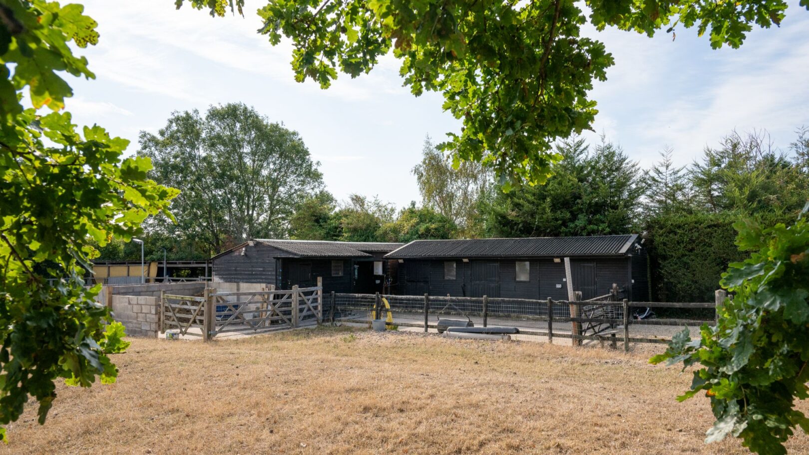 Three bedrooms, three stables, three acres and more for £800k