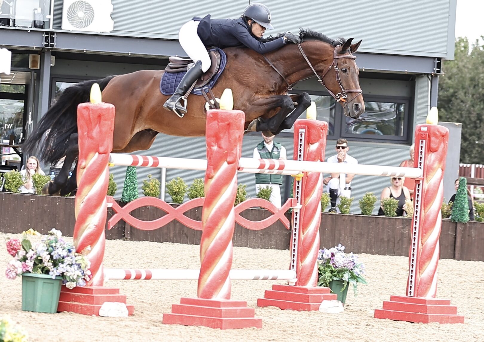 Irish wins at FEI WBFSH World Breeding Championship for Young Horses