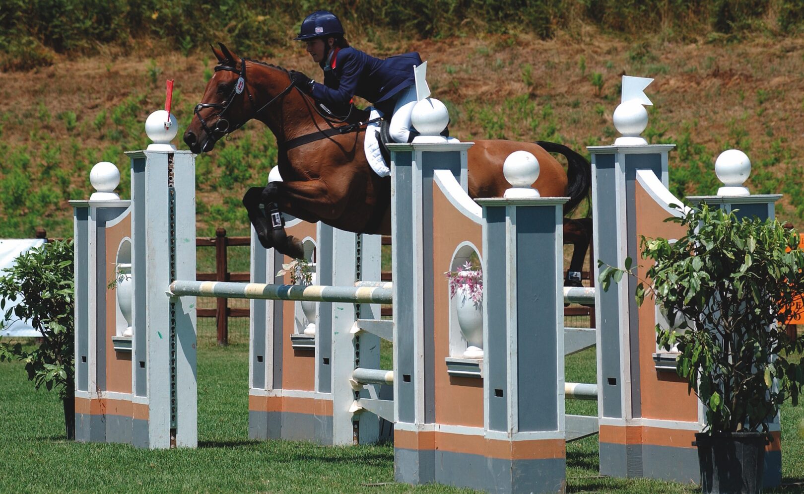 Laura Collett’s top horses from her Olympic star to a wild little Welshie