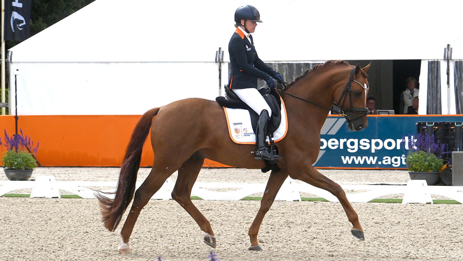 Rixt Van Der Horst wins gold at European Para Dressage Championships