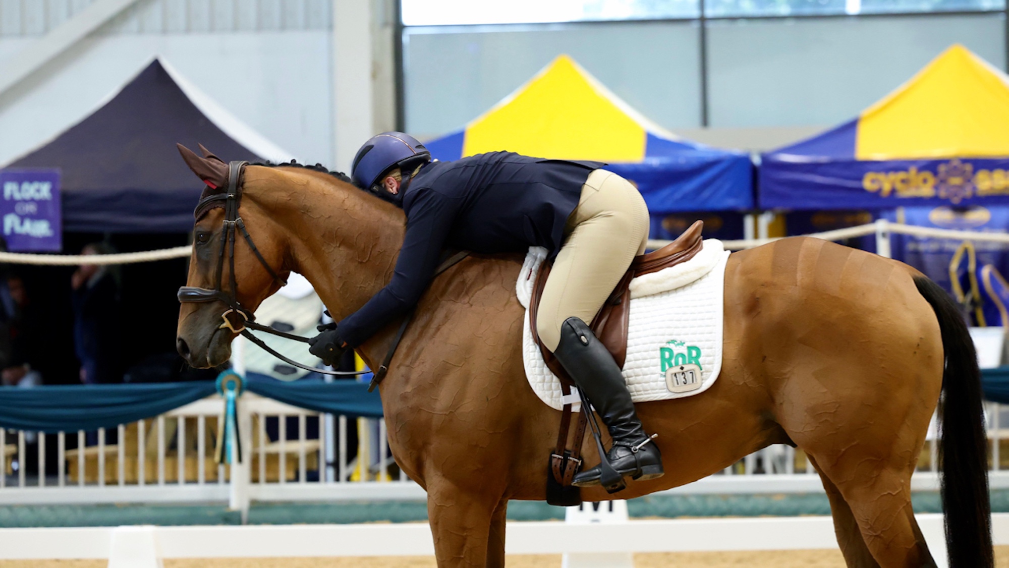 New scheme to help connect the dots when horses leave racing