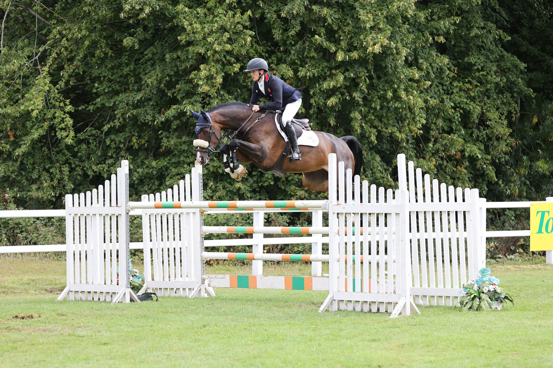 Olympic eventer Tom McEwen wins first HOYS showjumping ticket