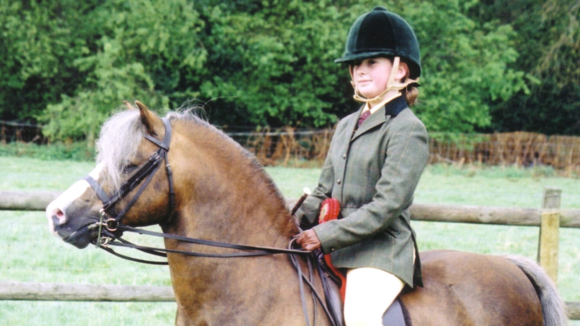 The Welsh section D: the ‘native cobs’ with power, action and presence ...