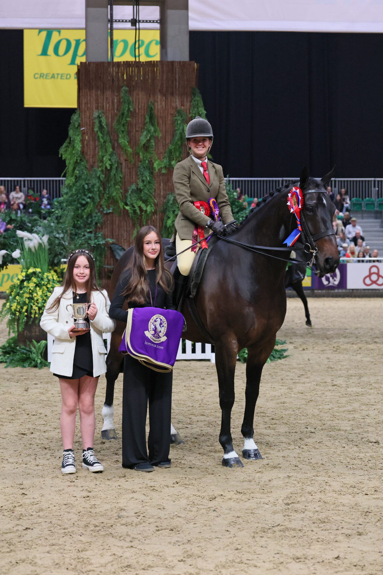 HOYS intermediate show hunter of the year crown for versatile gelding