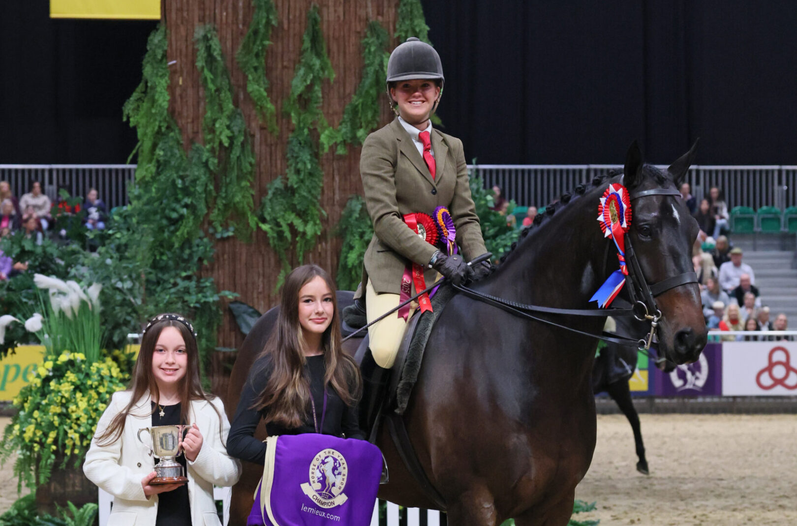 HOYS intermediate show hunter of the year crown for versatile gelding