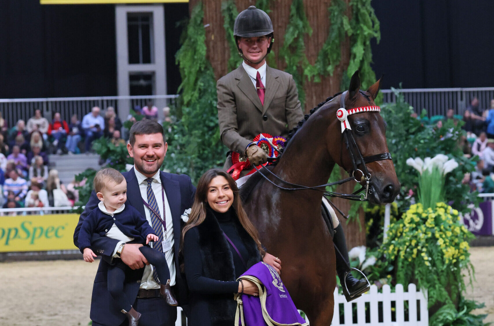 intermediate show horse of the year final is claimed by dual winner