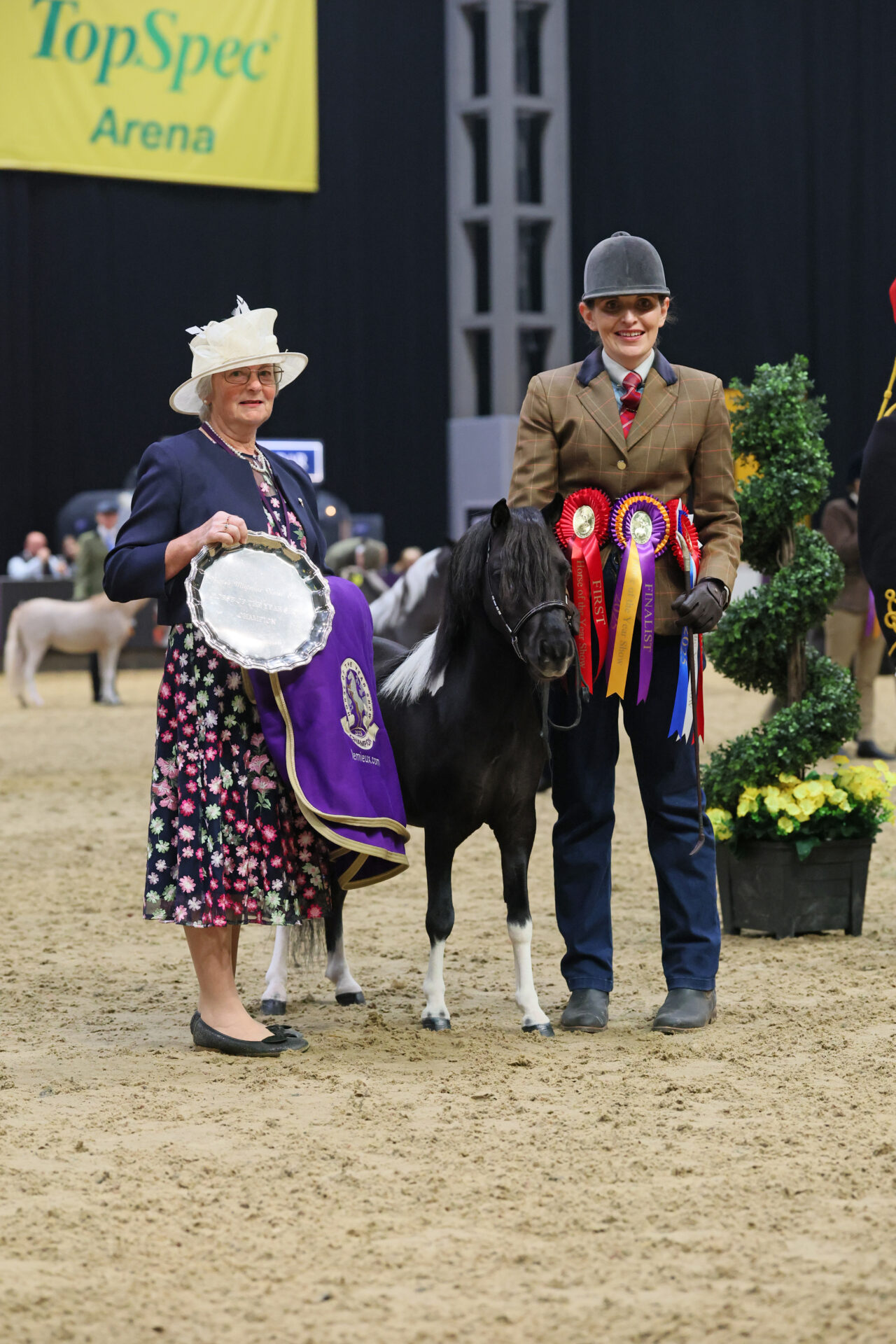 2025 Miniature Horse of the year shown by mum determined to show