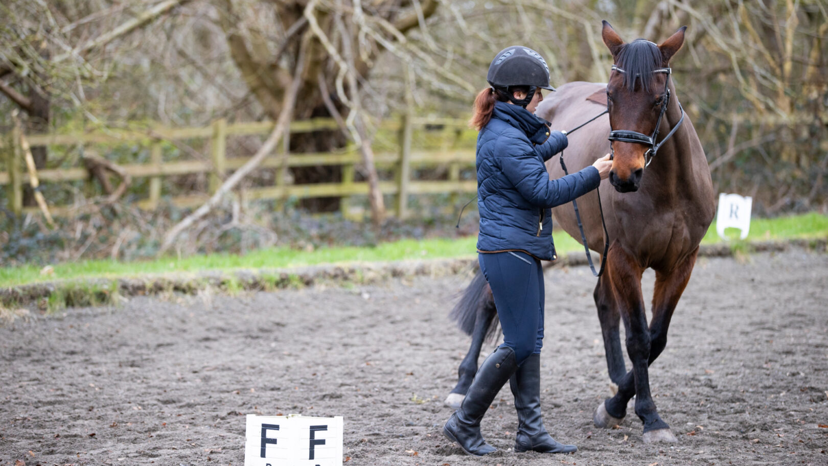 Training dressage in-hand to improve strength and suppleness
