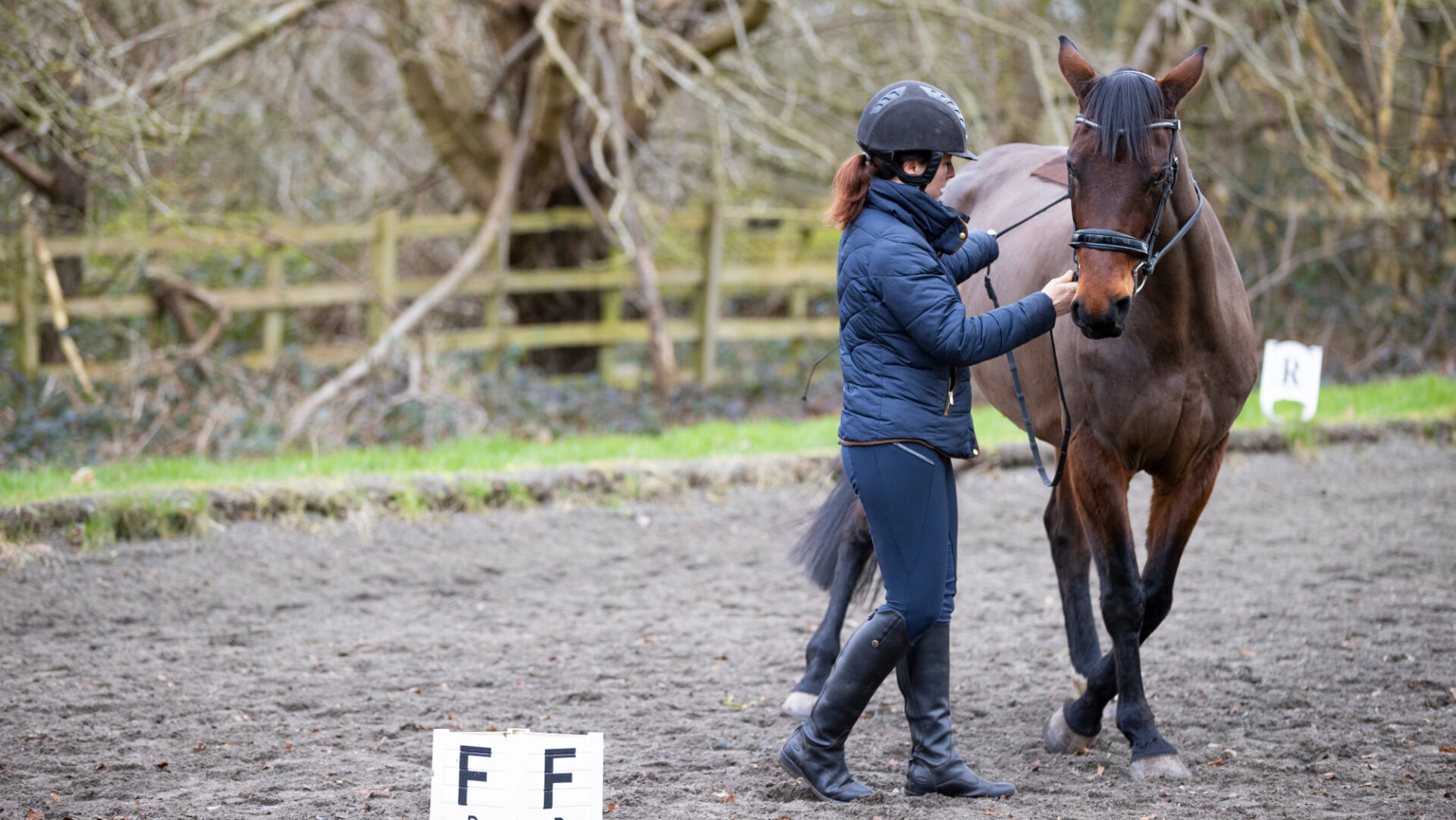 Training dressage in-hand to improve strength and suppleness