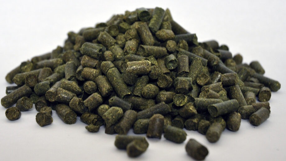 Types of forage: which is right for your horse? | Horse & Hound