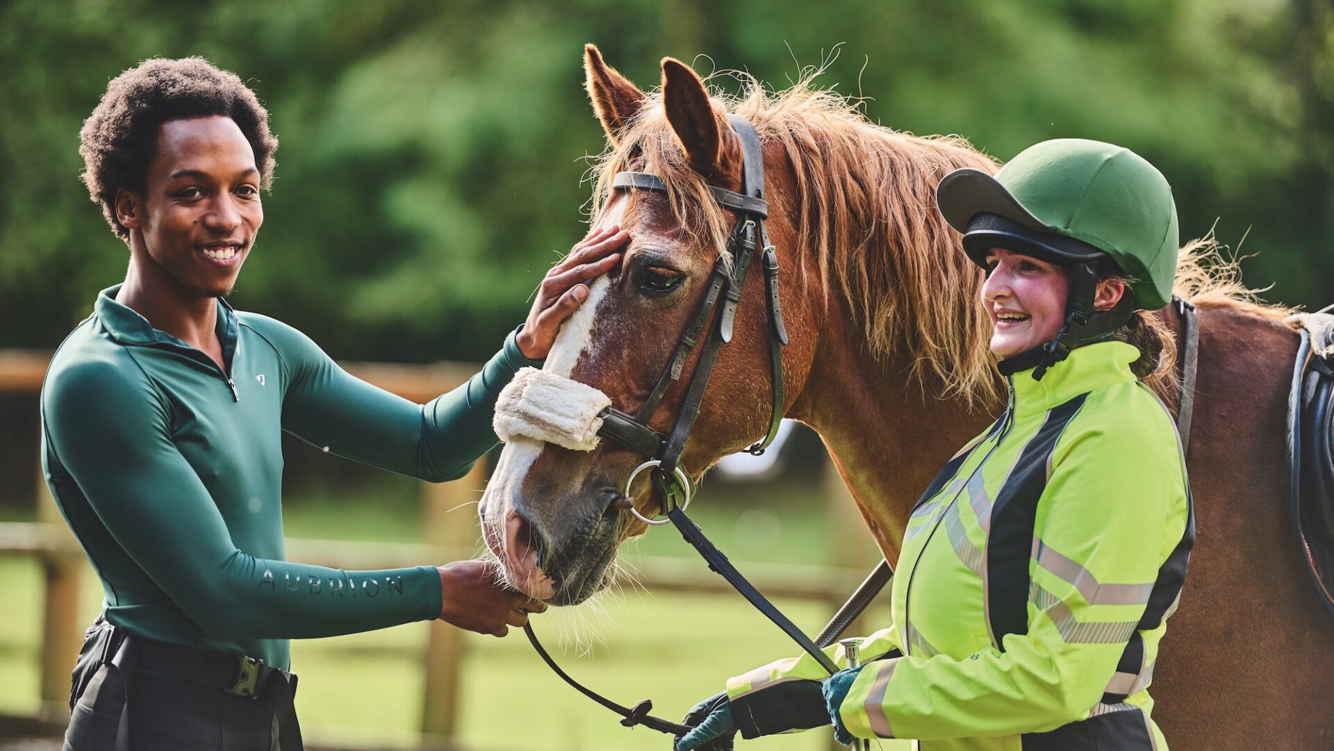 Livery prices vary hugely across the country, research has found