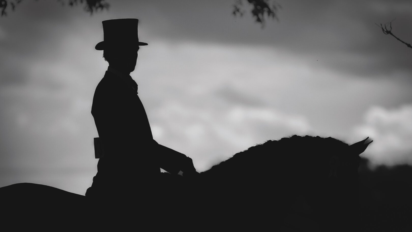 Amateur showing competitor loses HOYS ticket when her hat falls off