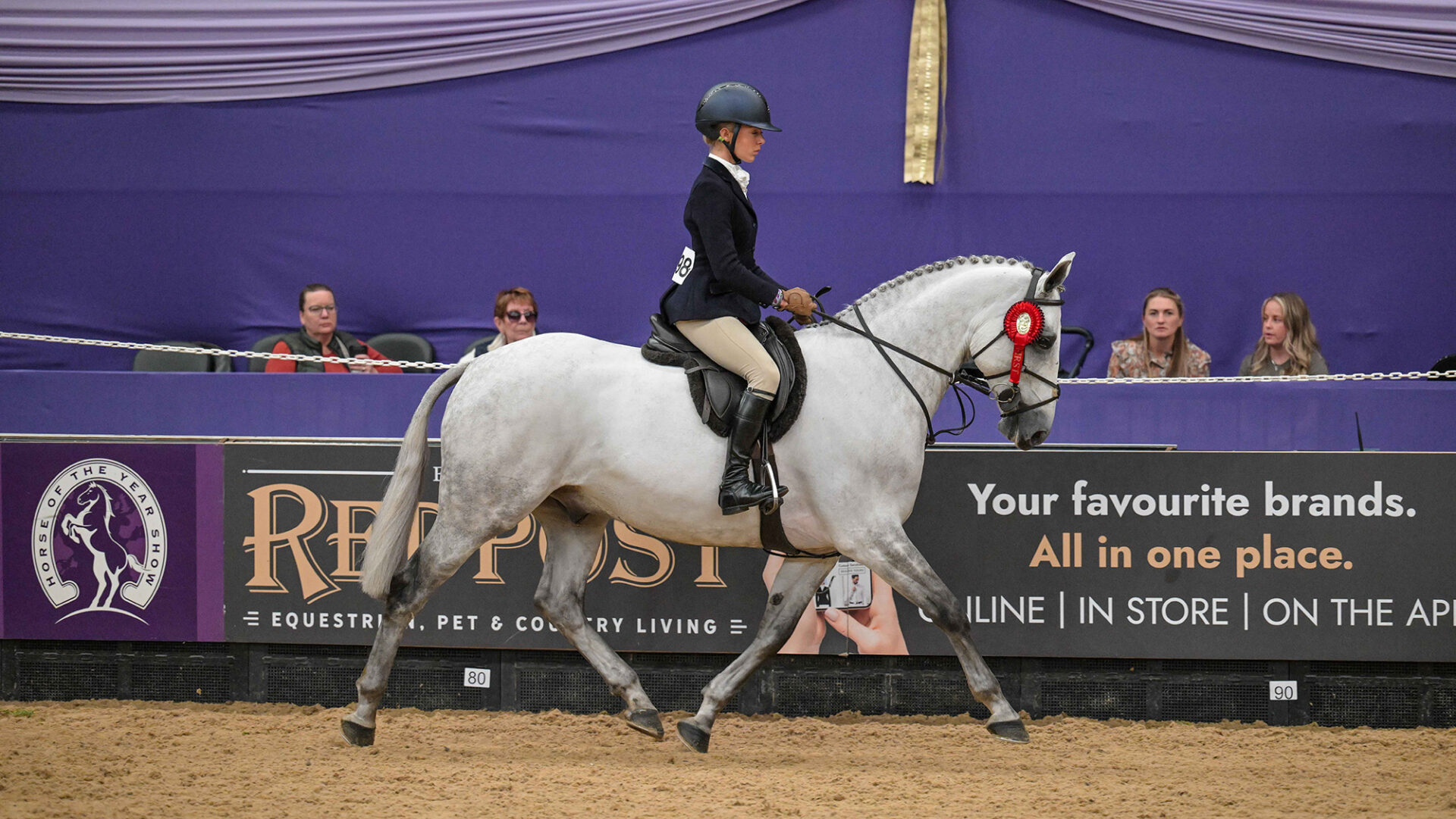 A guide to horse working hunter classes - Horse & Hound