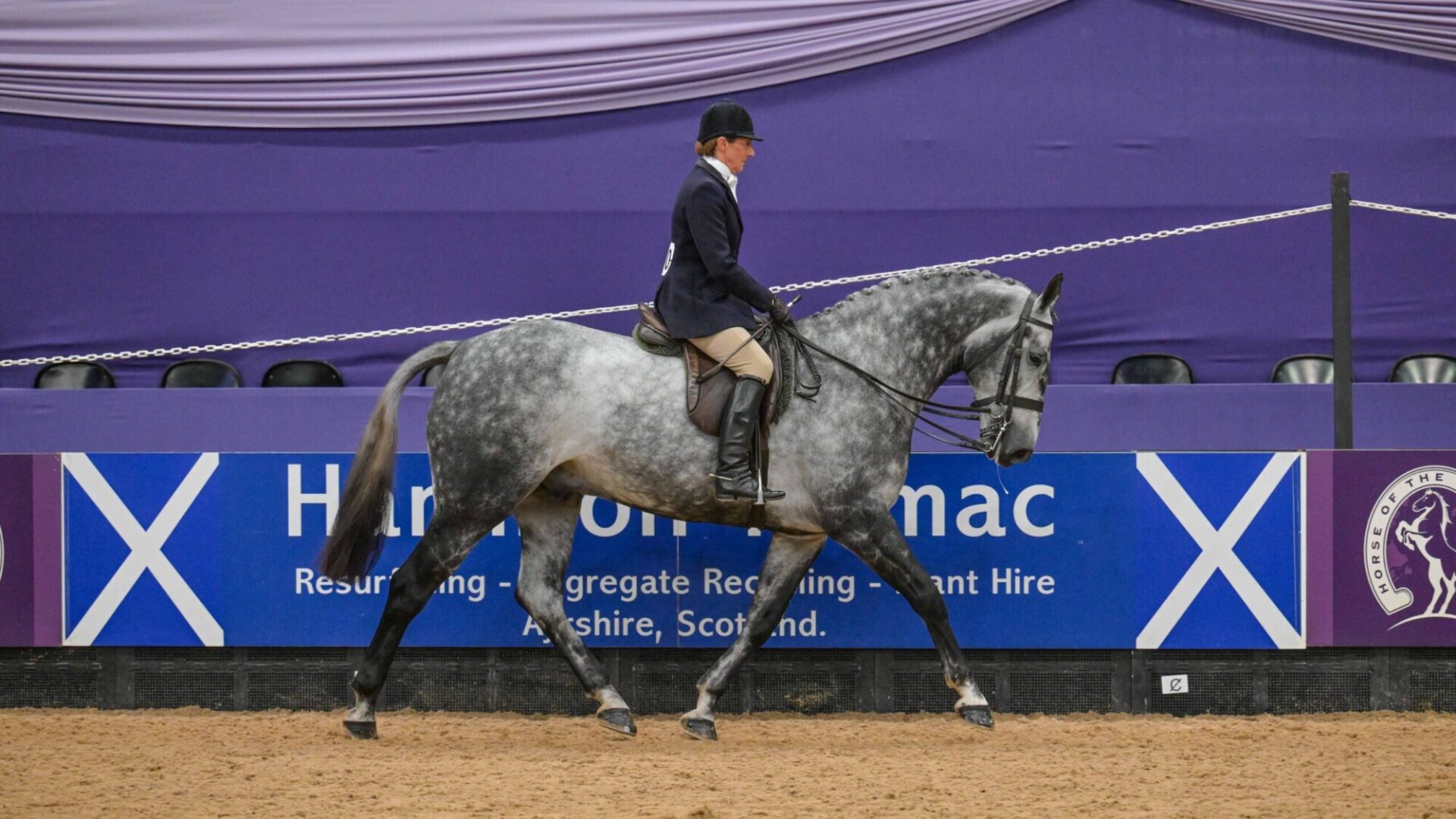 Six-year-old is crowned HOYS small hunter champion