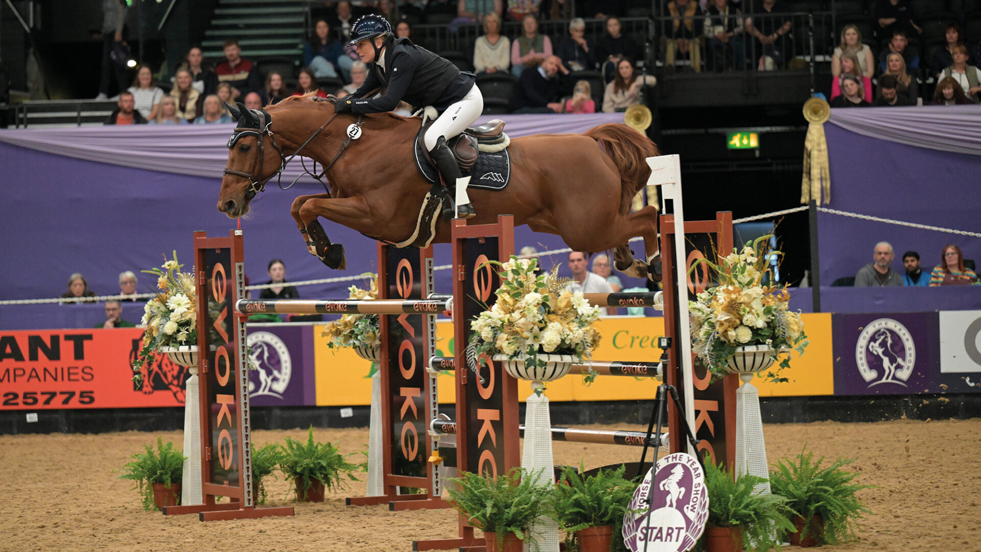 Showjumping: Horse & Hound's home for showjumping fans