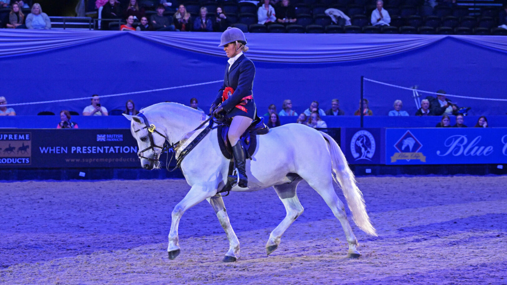 A guide to horse working hunter classes - Horse & Hound