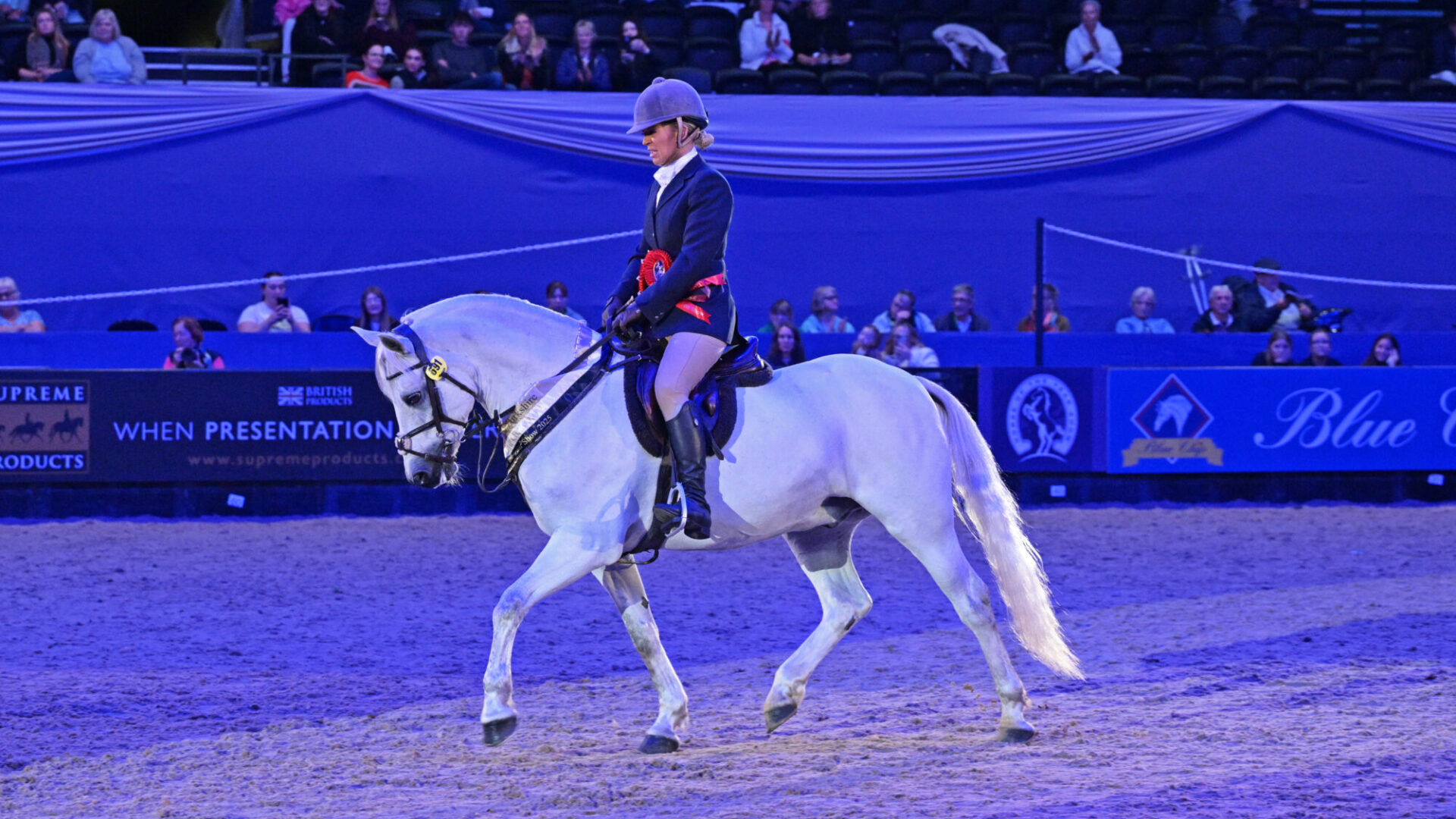 A guide to horse working hunter classes - Horse & Hound