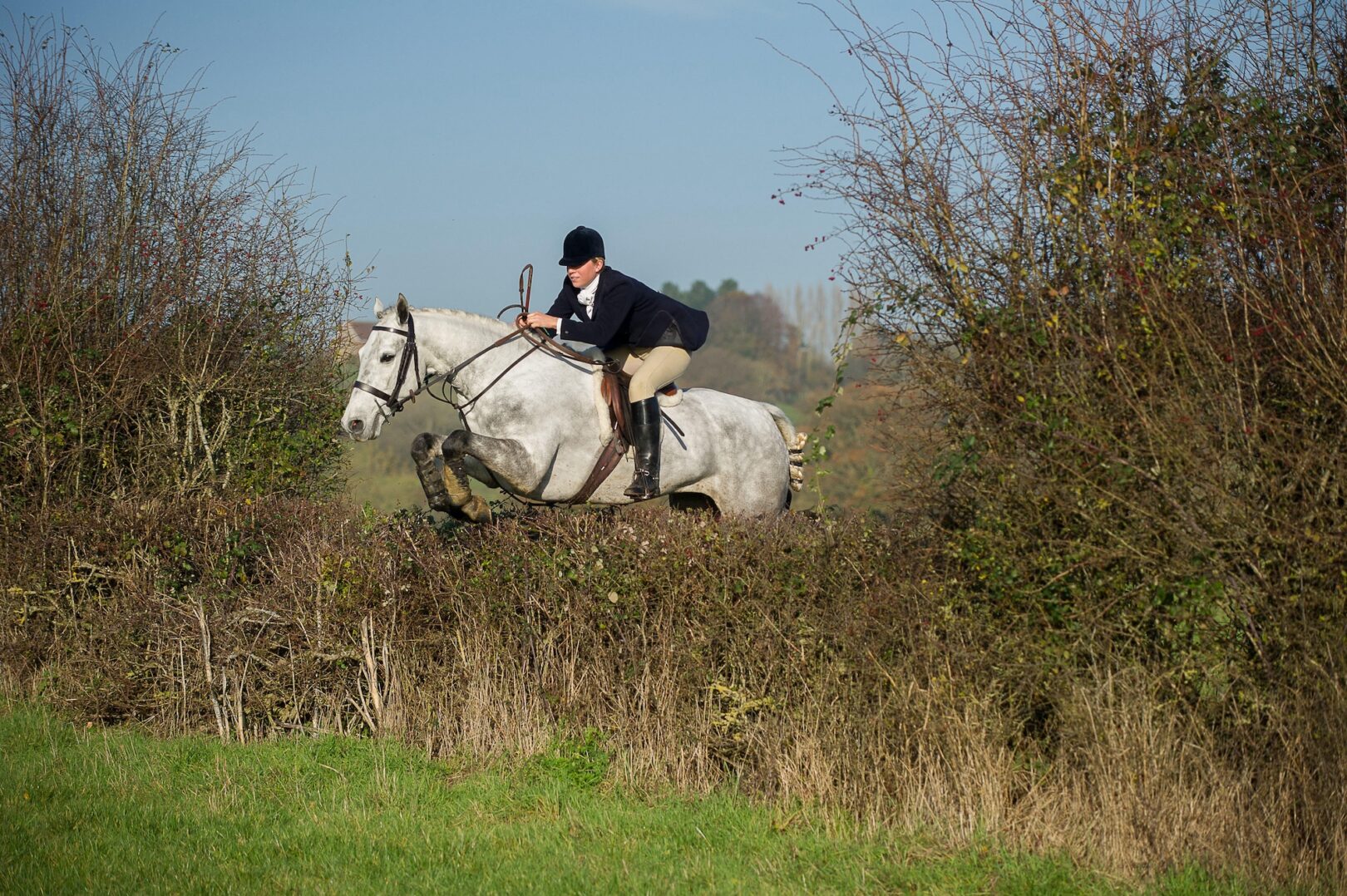 A dream day, a handsome Prince; rider and pony she saved from meat man ...