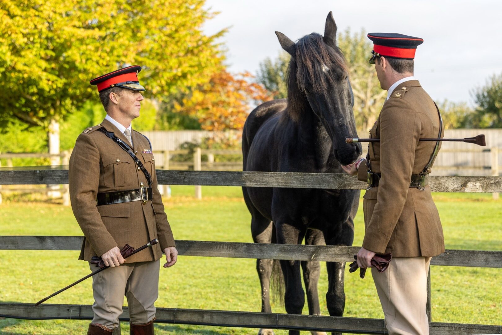 Army horse who made ‘remarkable recovery’ after he ran loose on London ...