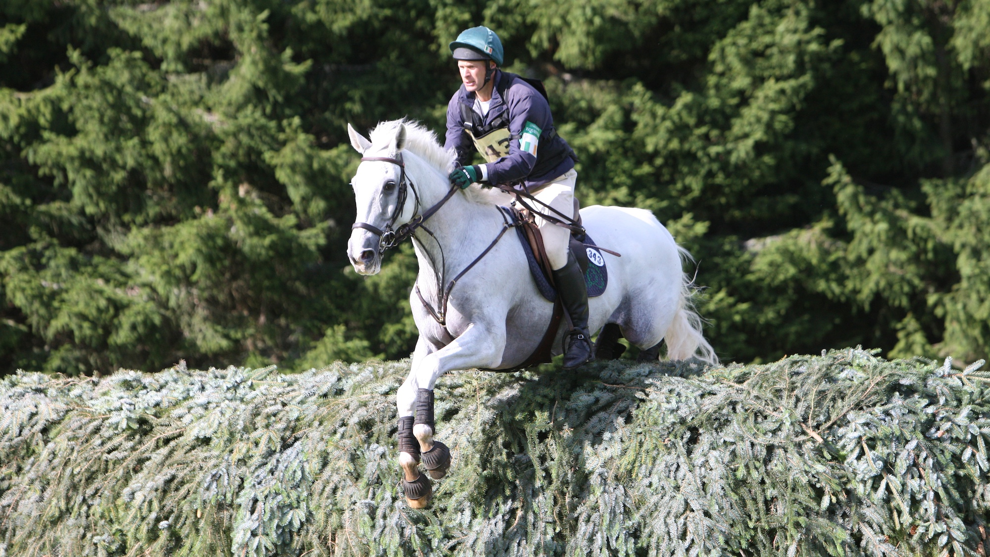 ‘Every breeder’s dream’: farewell to home-bred eventer who went to the ...