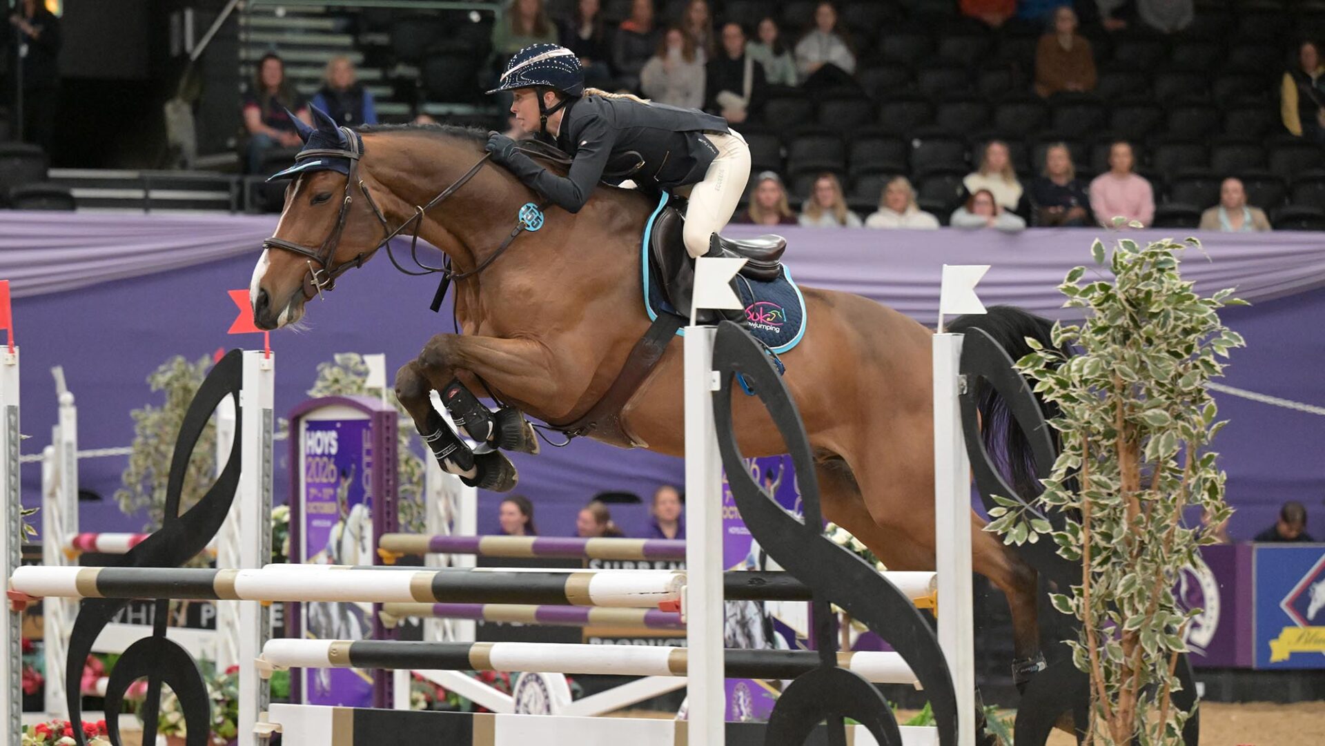 Dressage legend Totilas died from colic aged 20 | Horse & Hound