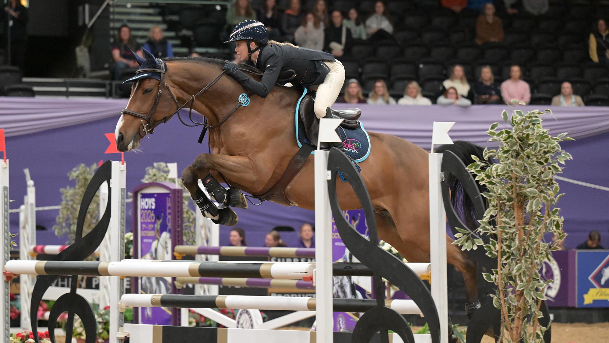 ‘A bit of a journey’: rider who had two brain surgeries excels at HOYS – with one-eyed horse who ...
