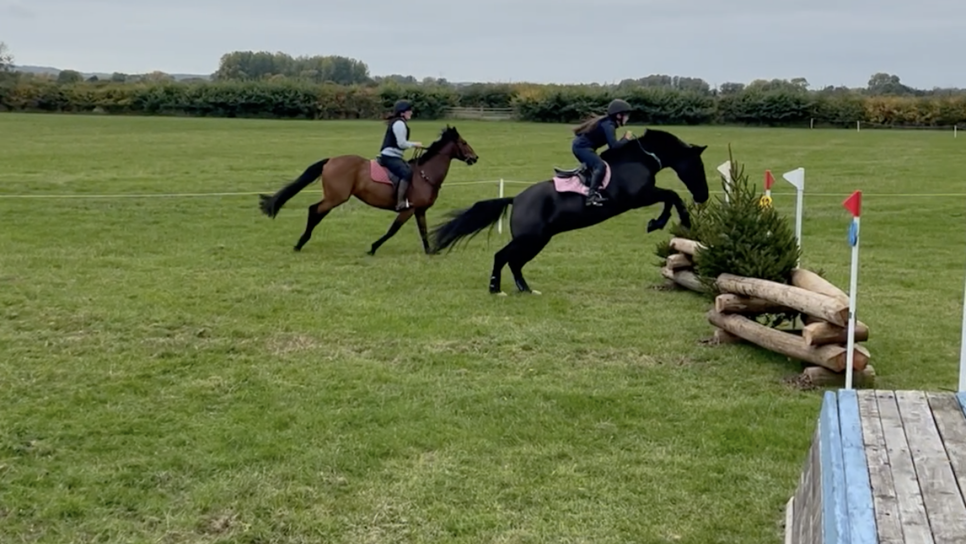 Young rider jumps ‘beautiful’ bridleless cross-country round