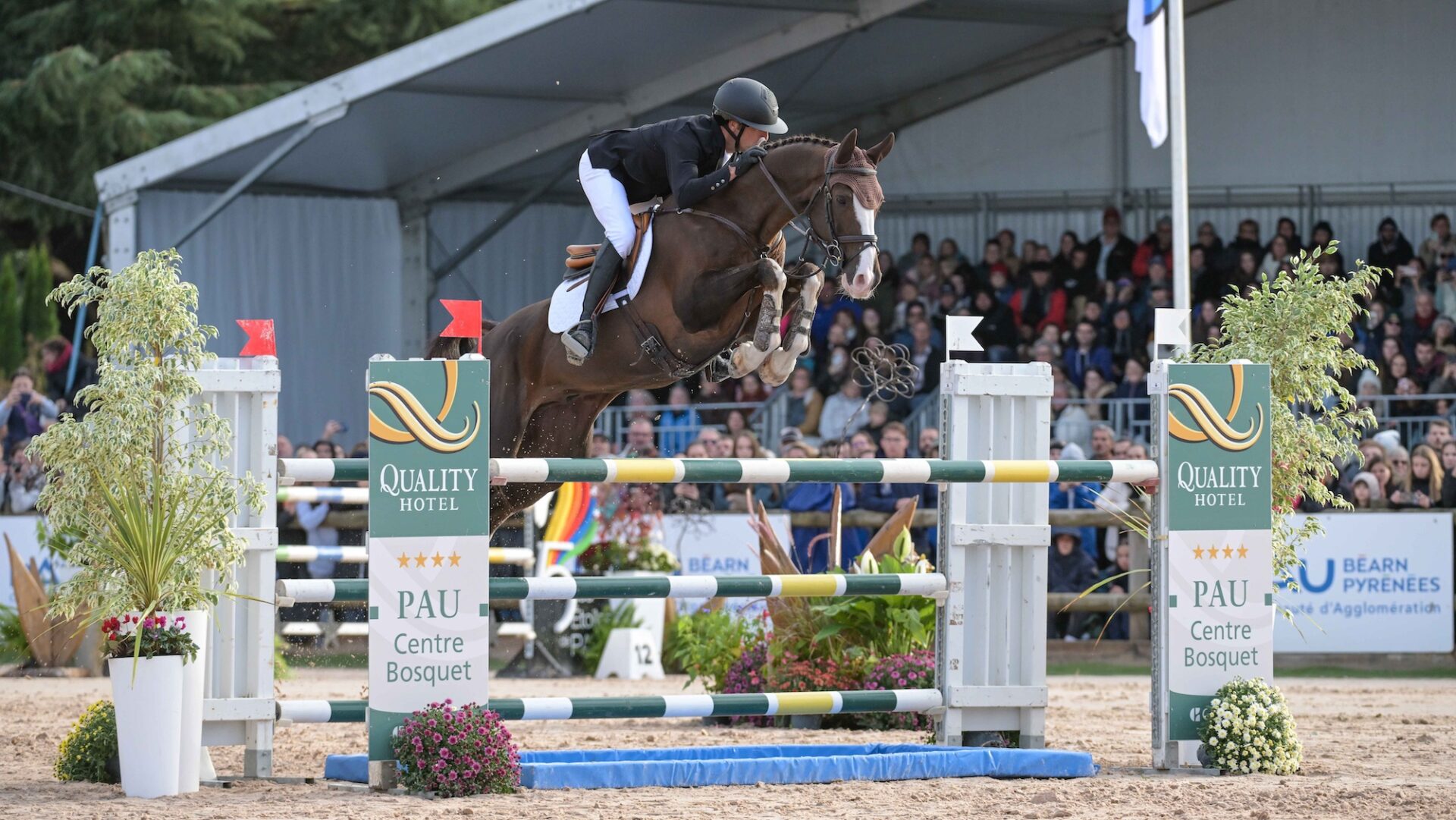 Tim Price is the winner of Pau Horse Trials riding Jarillo - Horse & Hound