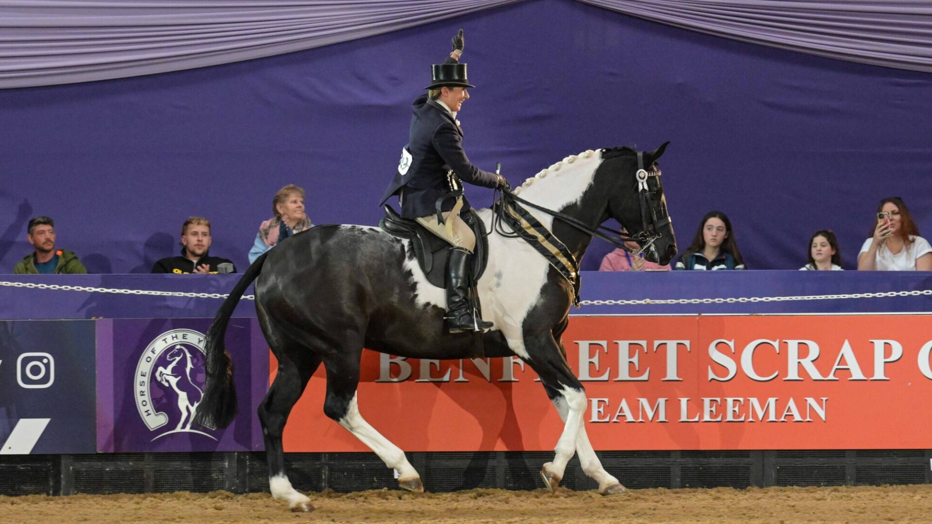 Flash Dance, pony once found tied to a lamp post, is off to HOYS
