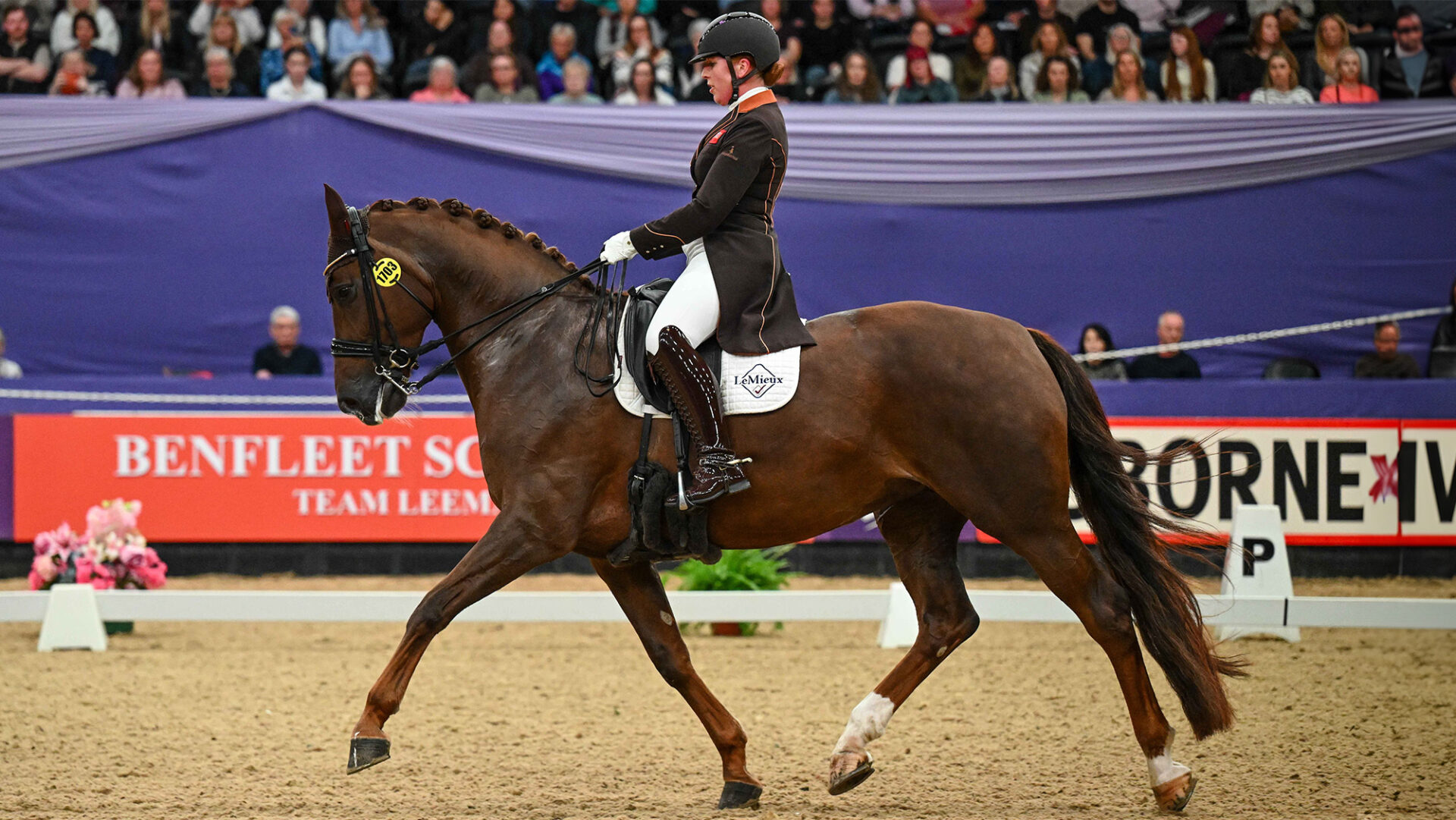 Becky Moody wins third Future Elite title at HOYS with latest star